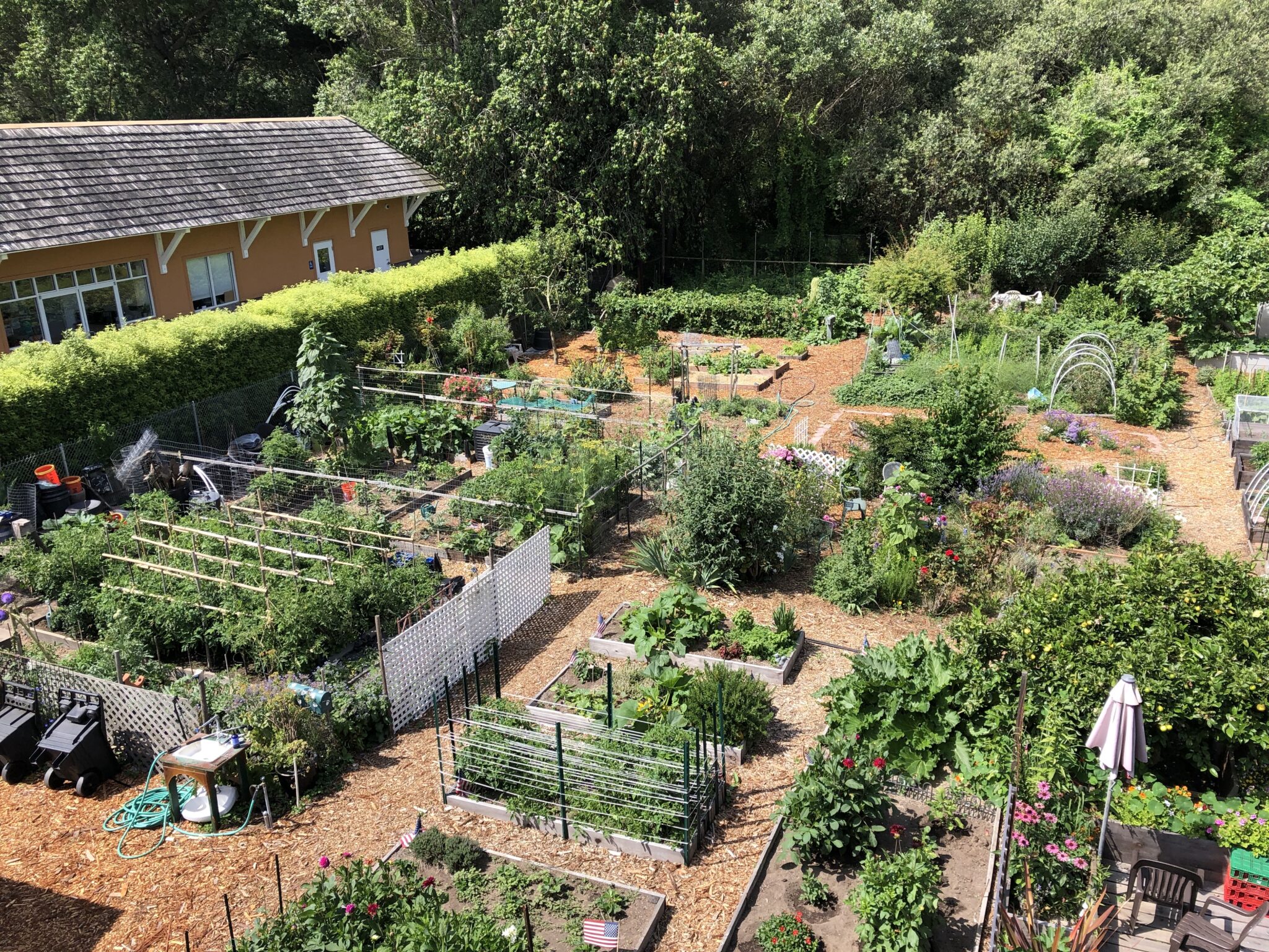 MCSC Garden – MCSC